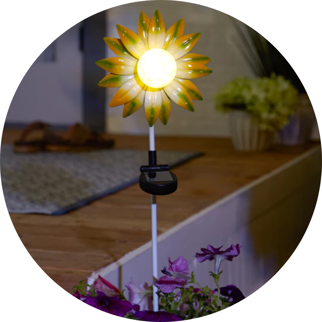 Outdoor Lighting – Zingz Home